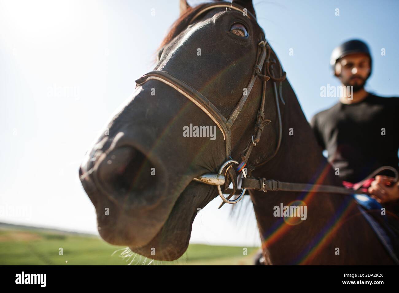 Arab tall beard man wear in black helmet, ride arabian horse Stock ...