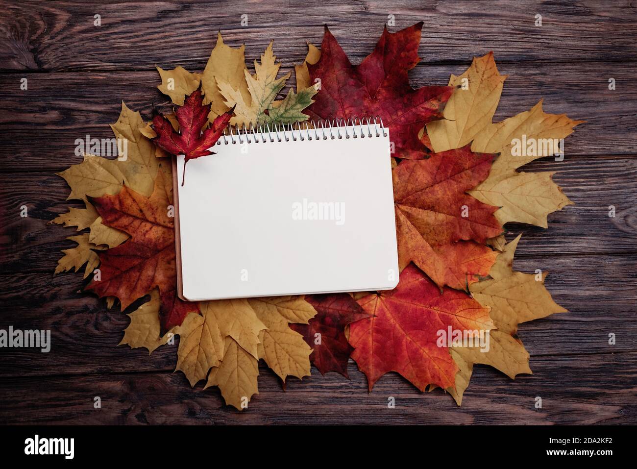 Autumn flat lay composition. open notebook and autumn leaves. Concept ...
