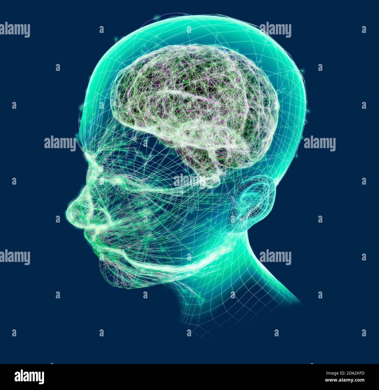 Neurology, philosophy: connections, the development of thought and ...