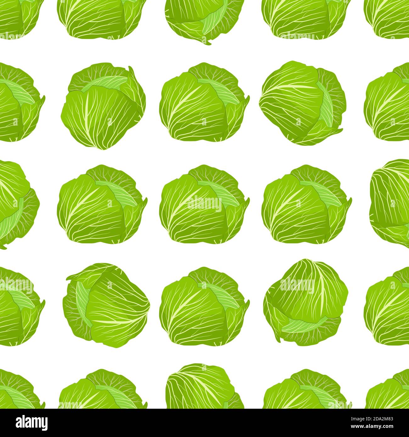 Cabbage leaf rolls Stock Vector Images - Alamy
