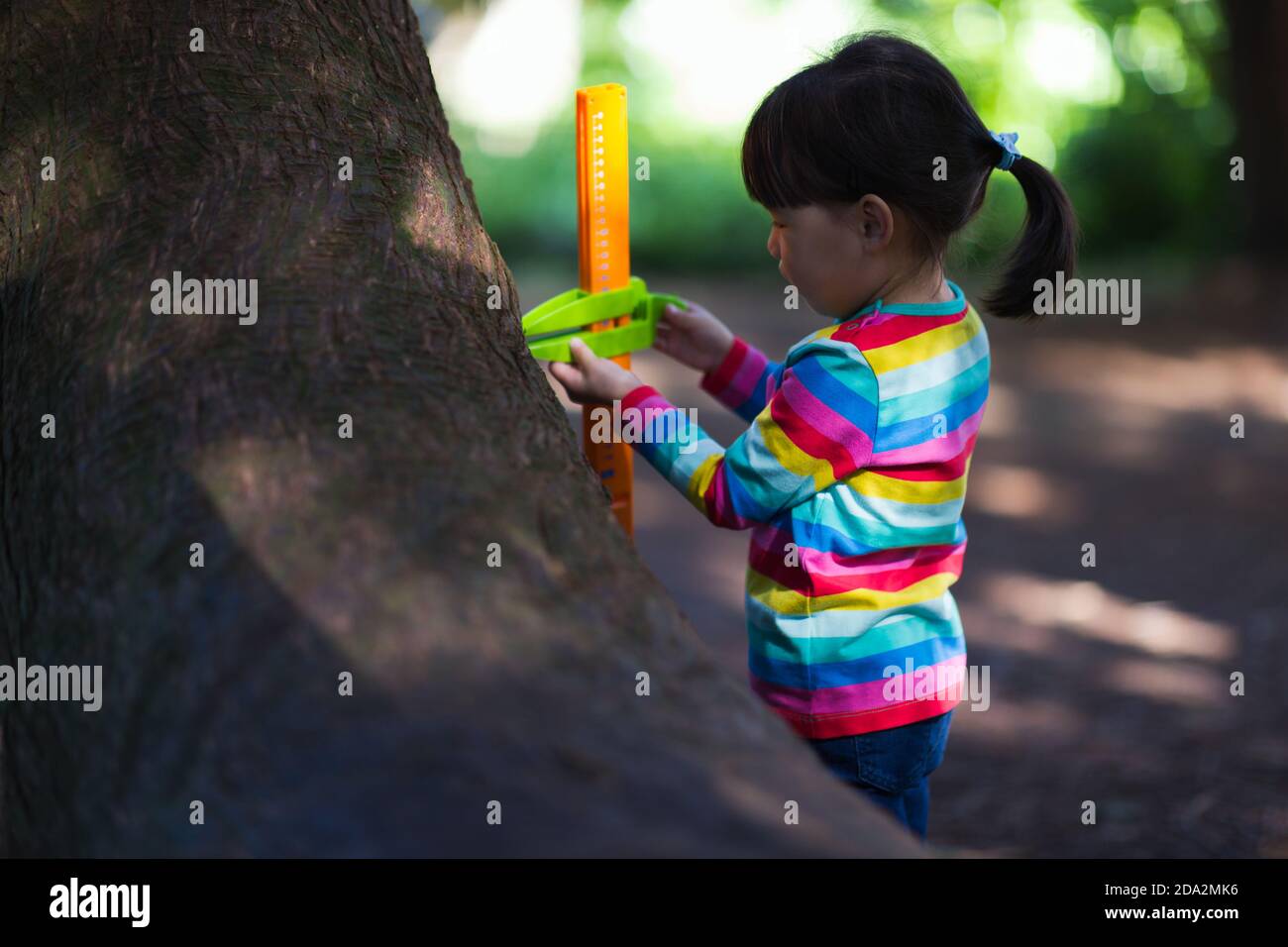 young girl playing outdoor measure-mate in the forest park for leaning ...