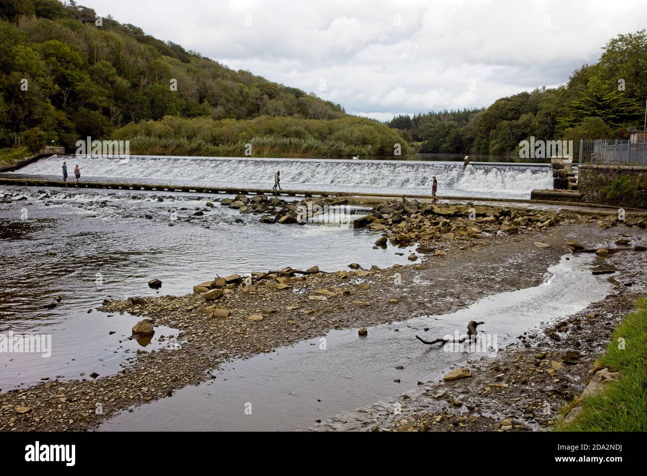 Lopwell Dam, a weir on the River Tavy, an access road crosses below the ...