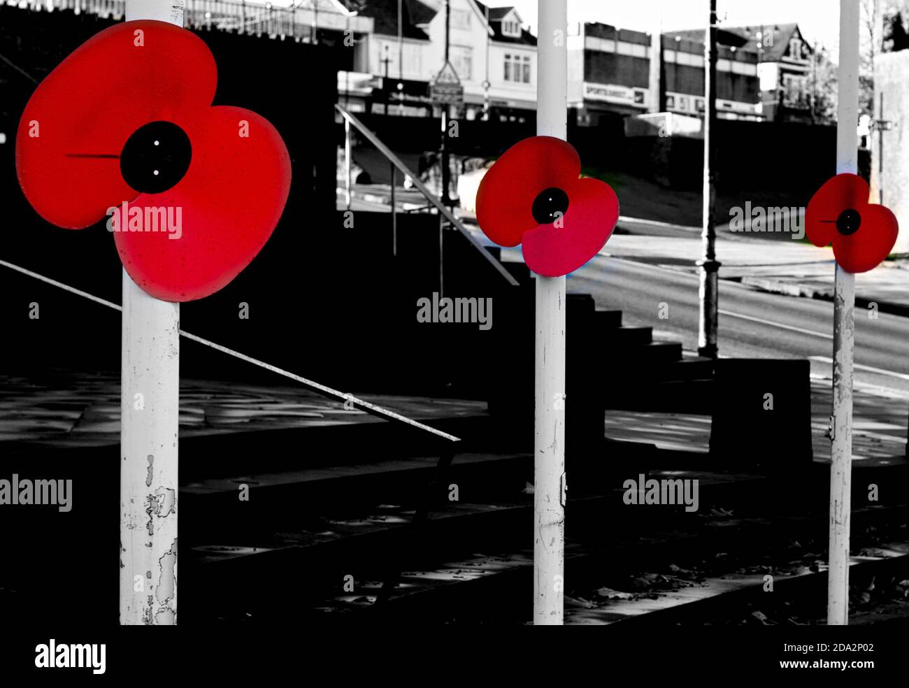 Lest we forget red poppys hi-res stock photography and images - Alamy