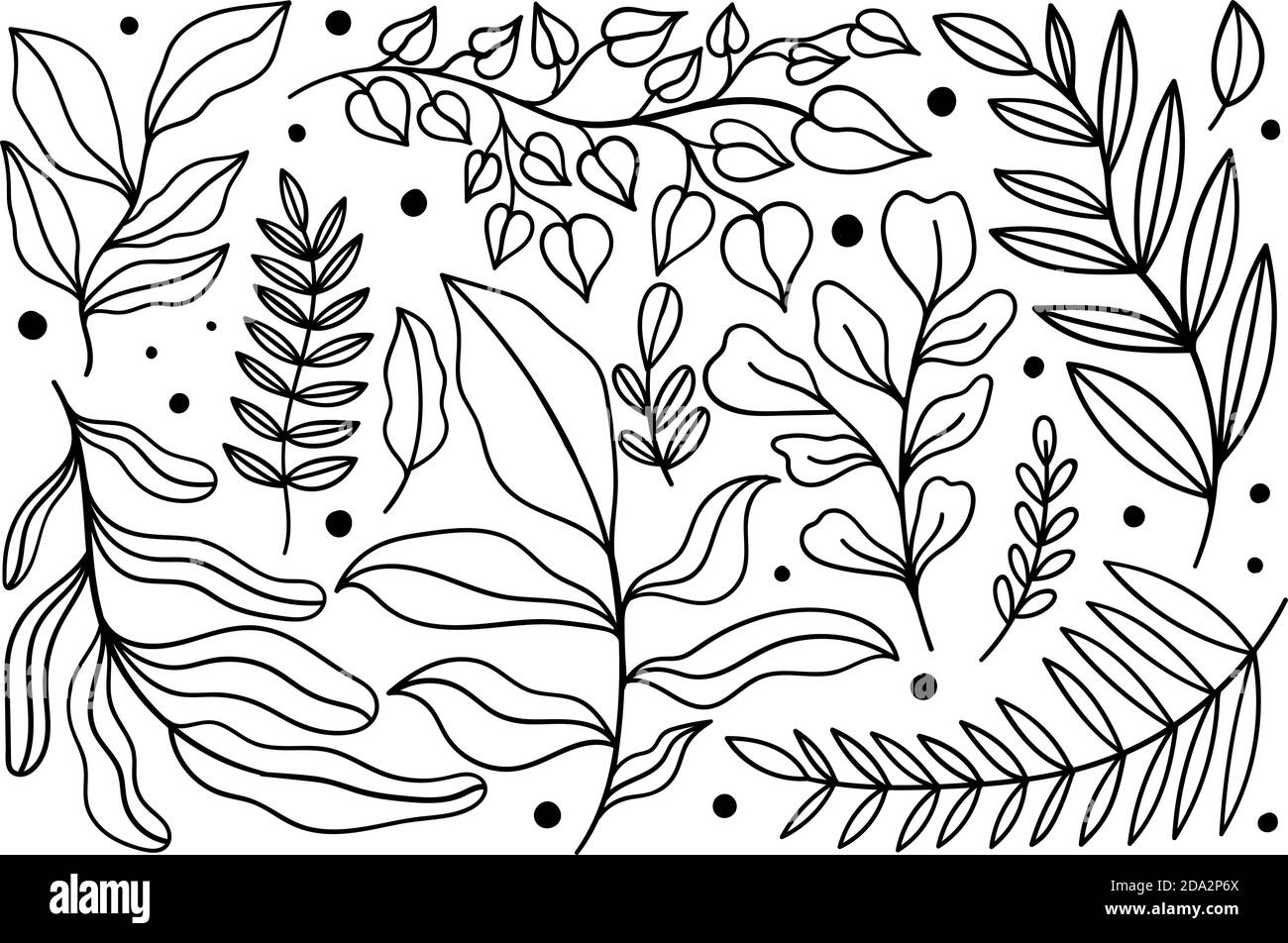 Natural Texture Drawing