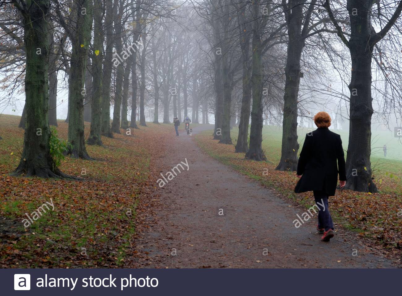 Thick fog envelops hi-res stock photography and images - Alamy