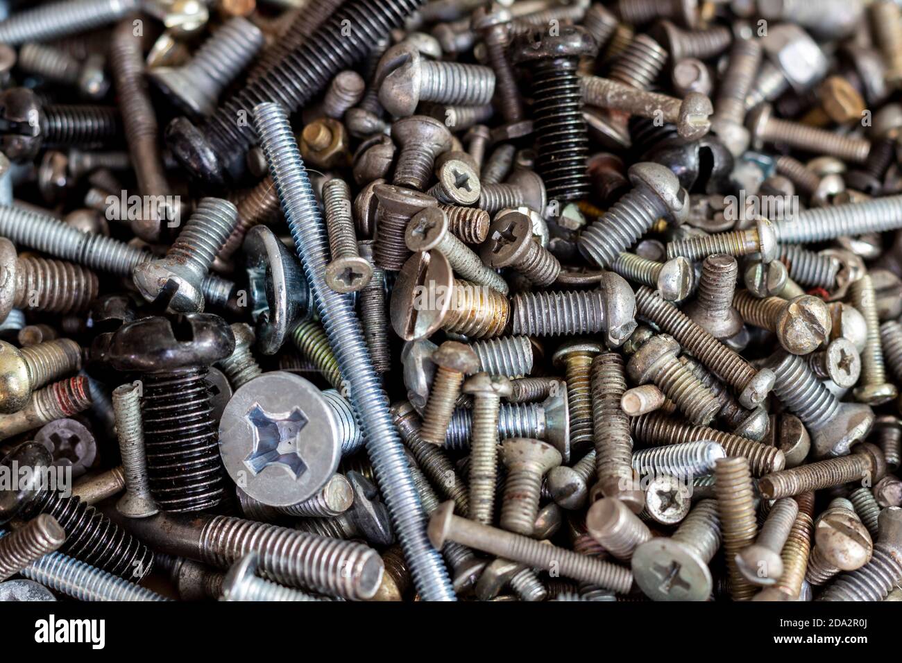 A bunch of screws, different sizes and diameters, with different slots ...