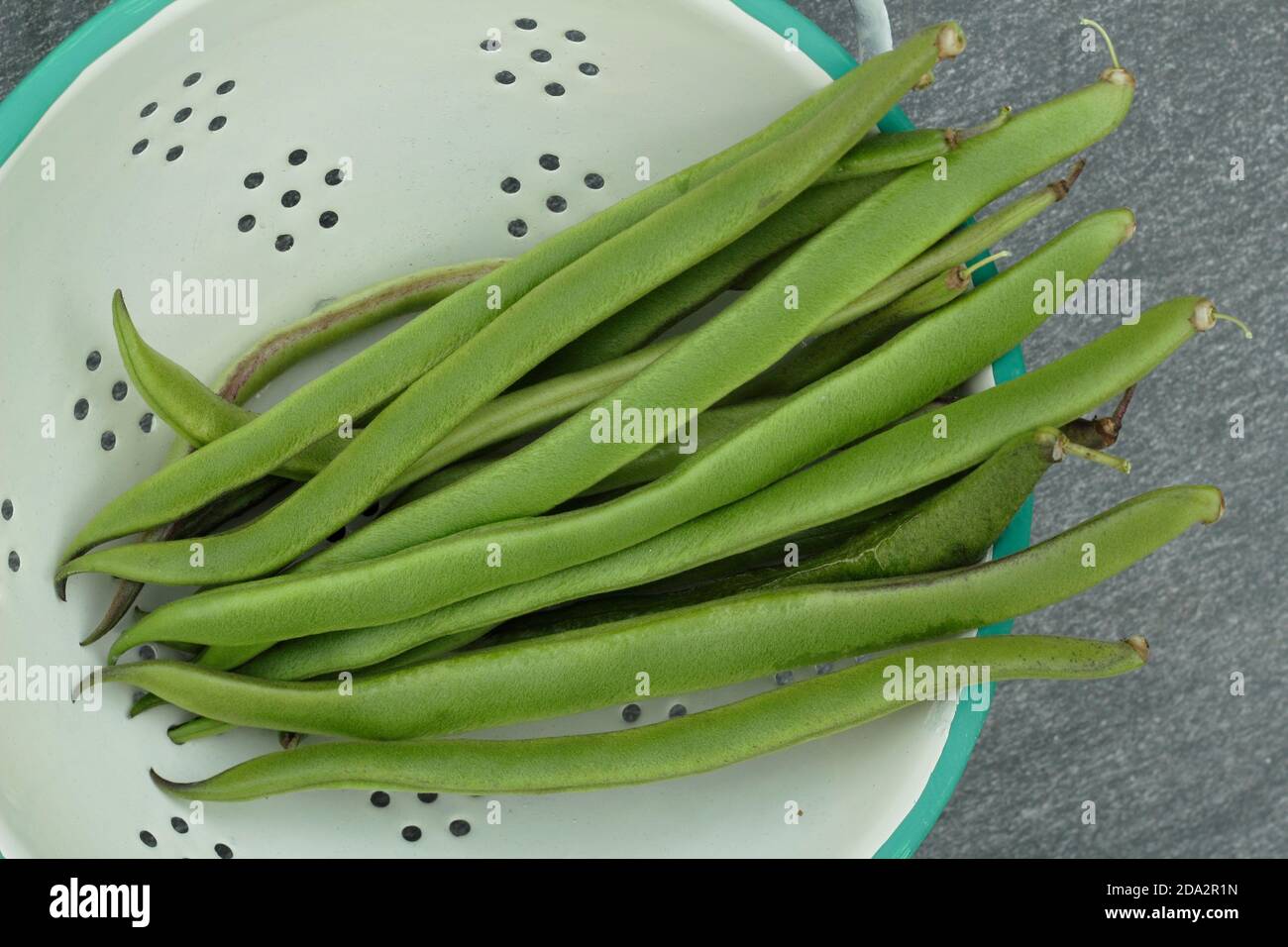 Green beans harvesting hi-res stock photography and images - Alamy