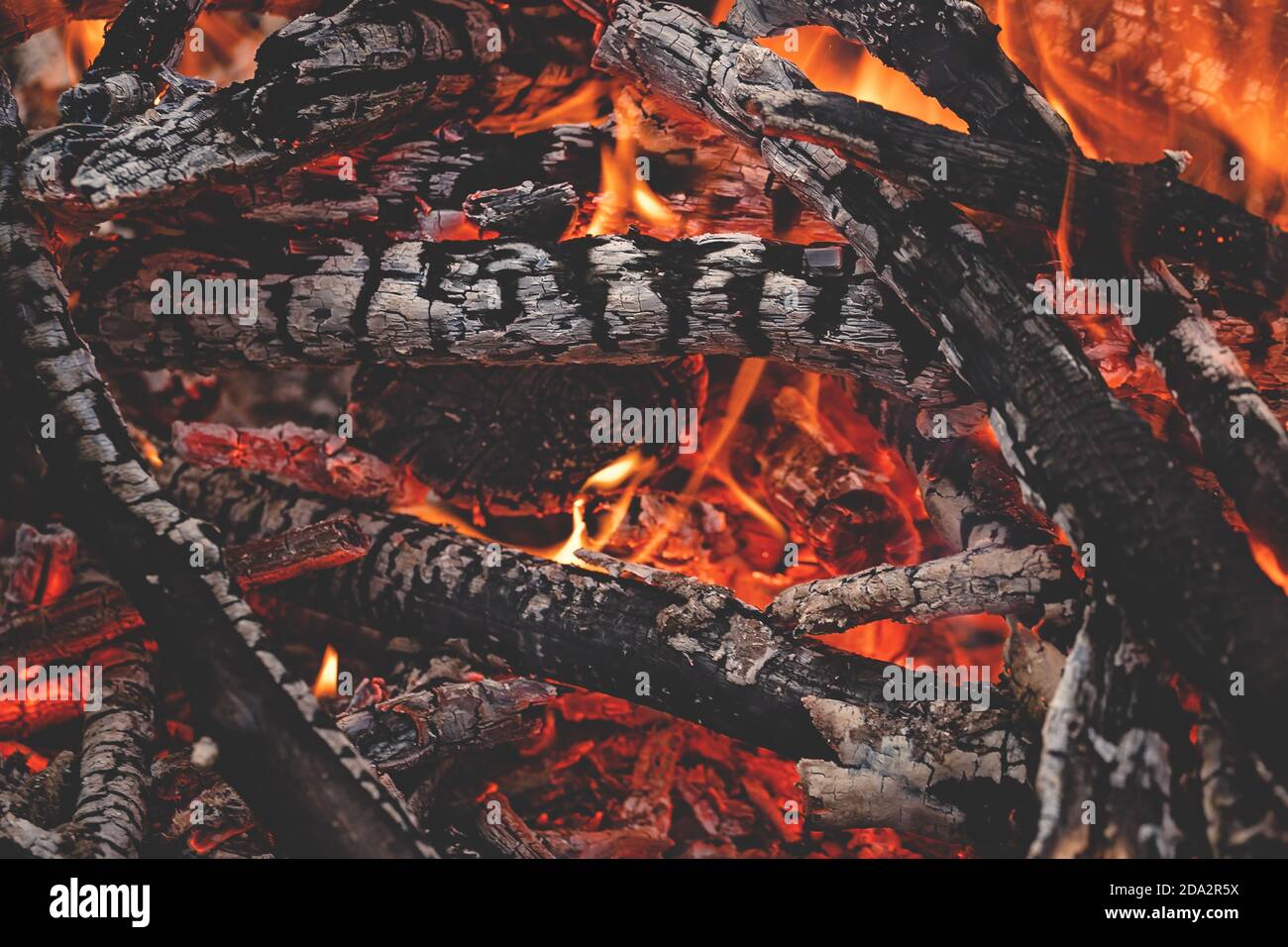 Bonfire in the forest hi-res stock photography and images - Alamy