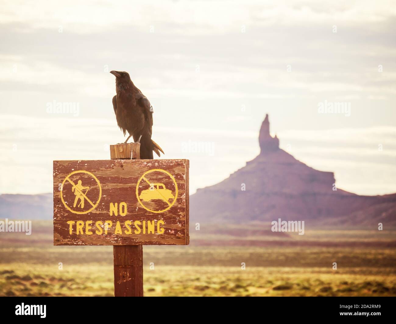 Monument valley arizona bird hi-res stock photography and images - Alamy