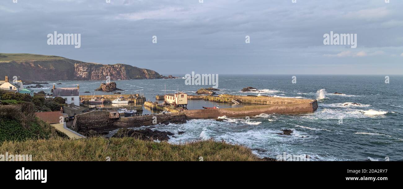 Panorama looking down on St Abbs harbour, a small fishing village near ...