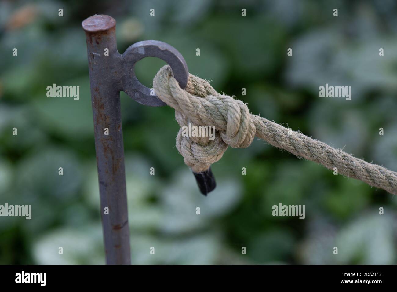 Closeup of a thick rope knot tied to a piece of metal Stock Photo - Alamy