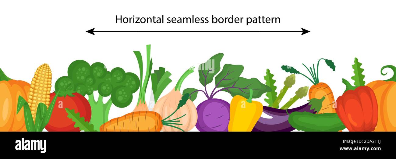Vector seamless border pattern with fresh vegetables. Healthy vegan ...