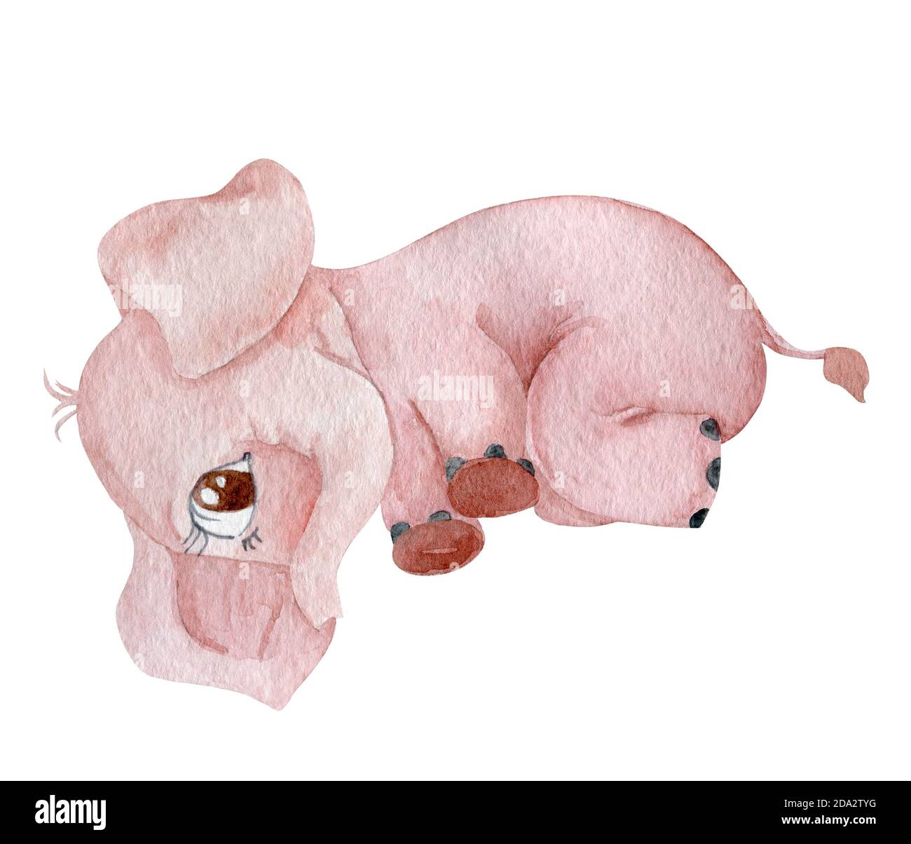 Hand painted pink elephant isolated on white background Stock Photo - Alamy