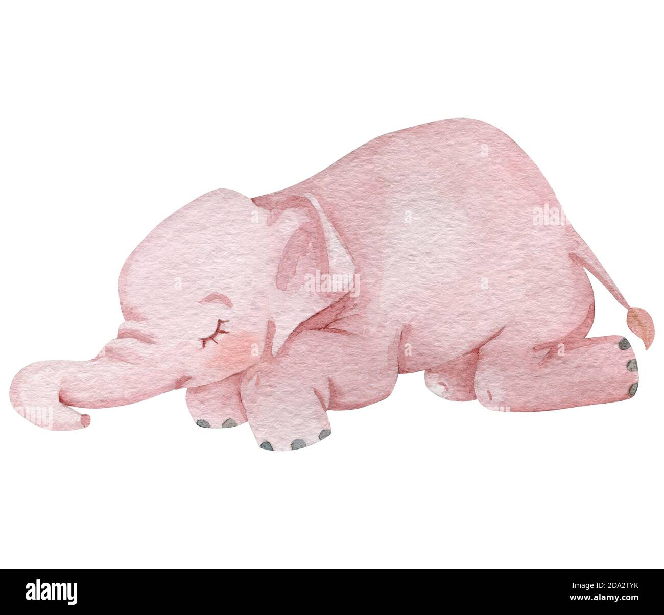 Hand painted pink elephant isolated on white background Stock Photo - Alamy