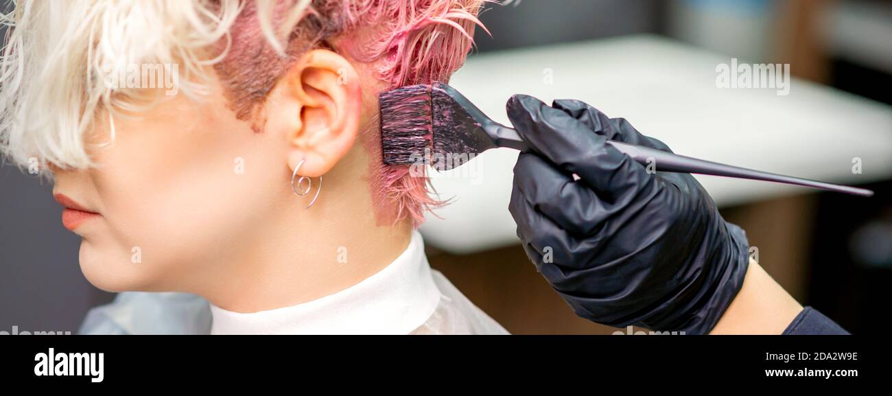 Hand of hairdresser dyeing hair in pink color by paintbrush on back of ...
