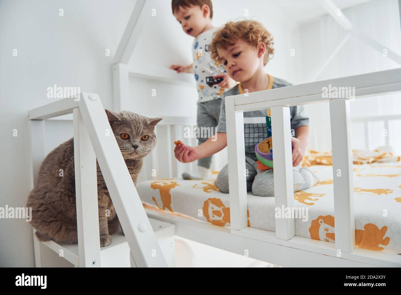 Two little boys resting and have fun indoors in the bedroom together ...