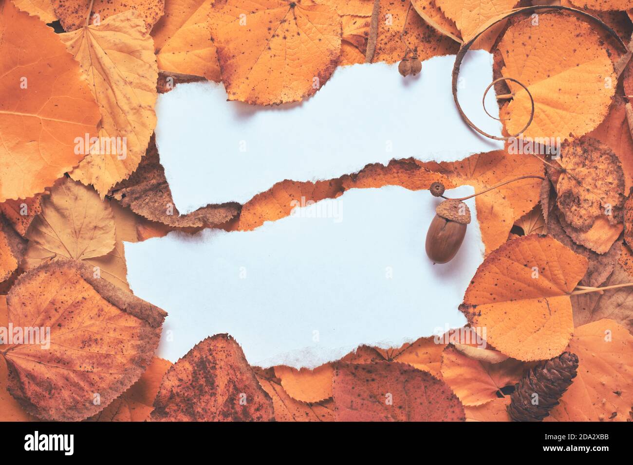 Blank Layout High Resolution Stock Photography and Images - Alamy