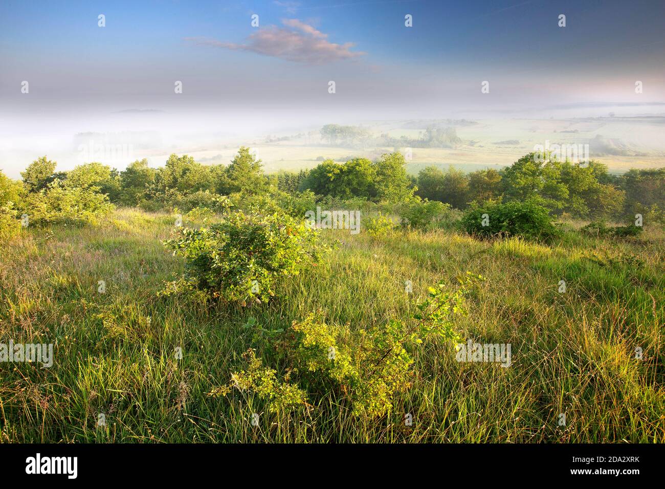 Valley of viroin hi-res stock photography and images - Alamy