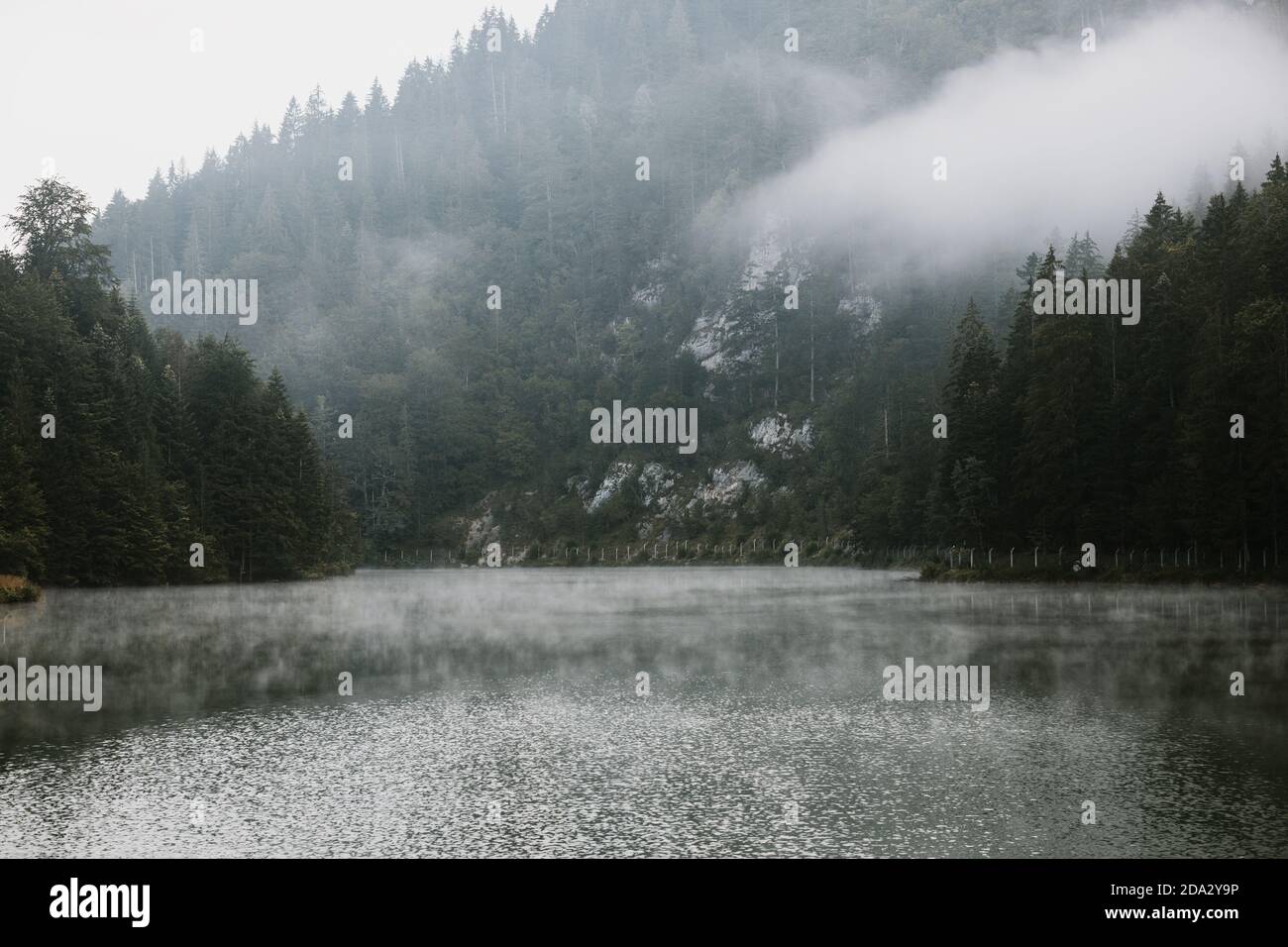 Foggy early morning on the mountain lake Stock Photo - Alamy