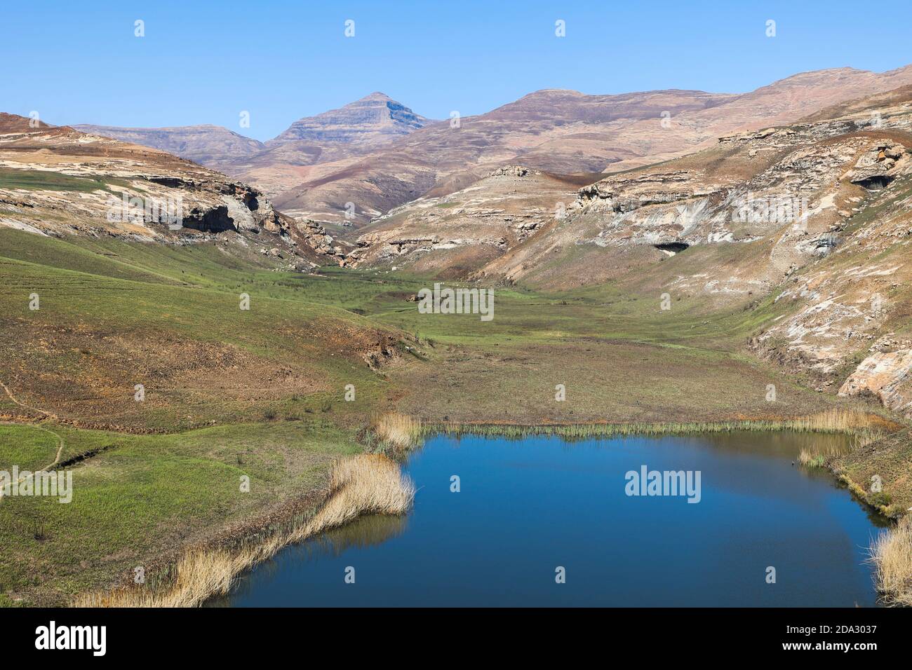 Golden Gate Dam Golden Gate High Resolution Stock Photography and ...