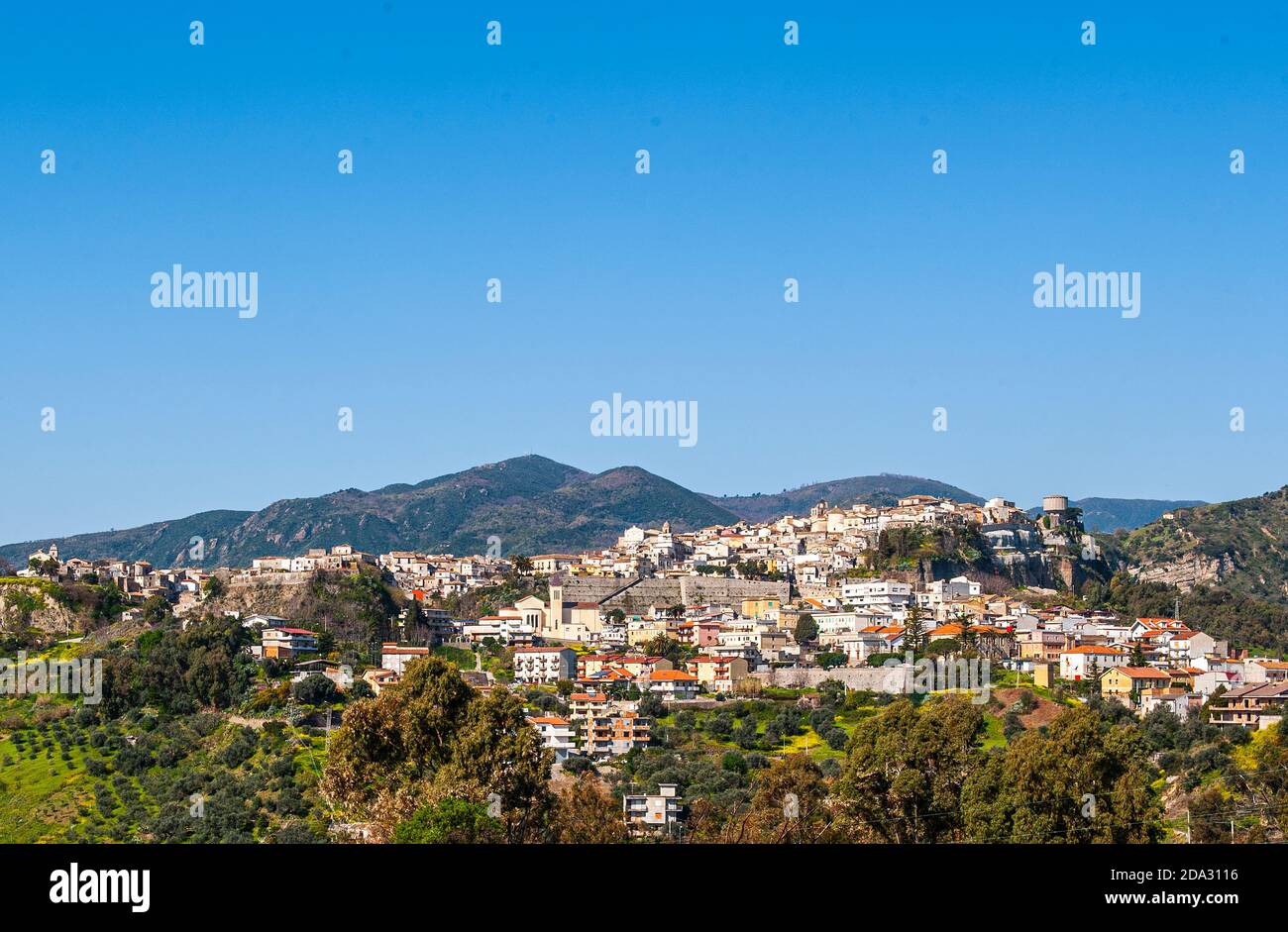 Caulonia hi-res stock photography and images - Alamy