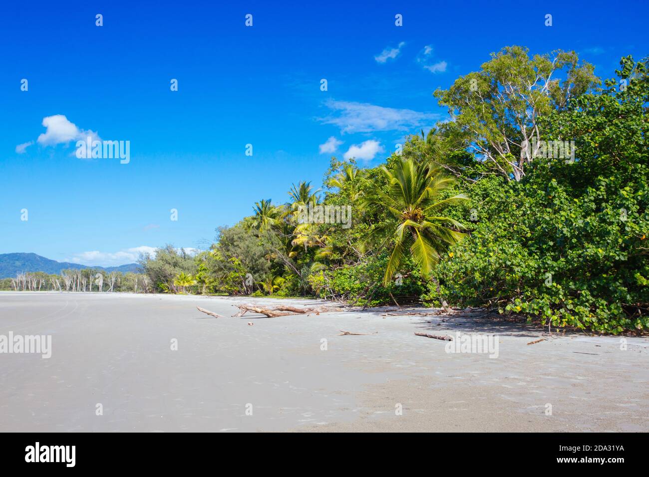 Thornton beach daintree hi-res stock photography and images - Alamy