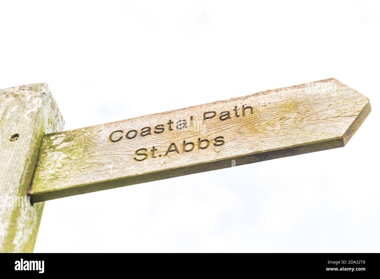 St Abbs, United Kingdom - August 02, 2020: Coastline near St Abbs Head ...