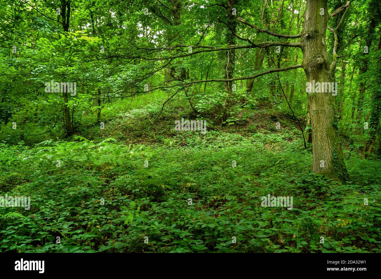 Bell pit mining hi-res stock photography and images - Alamy