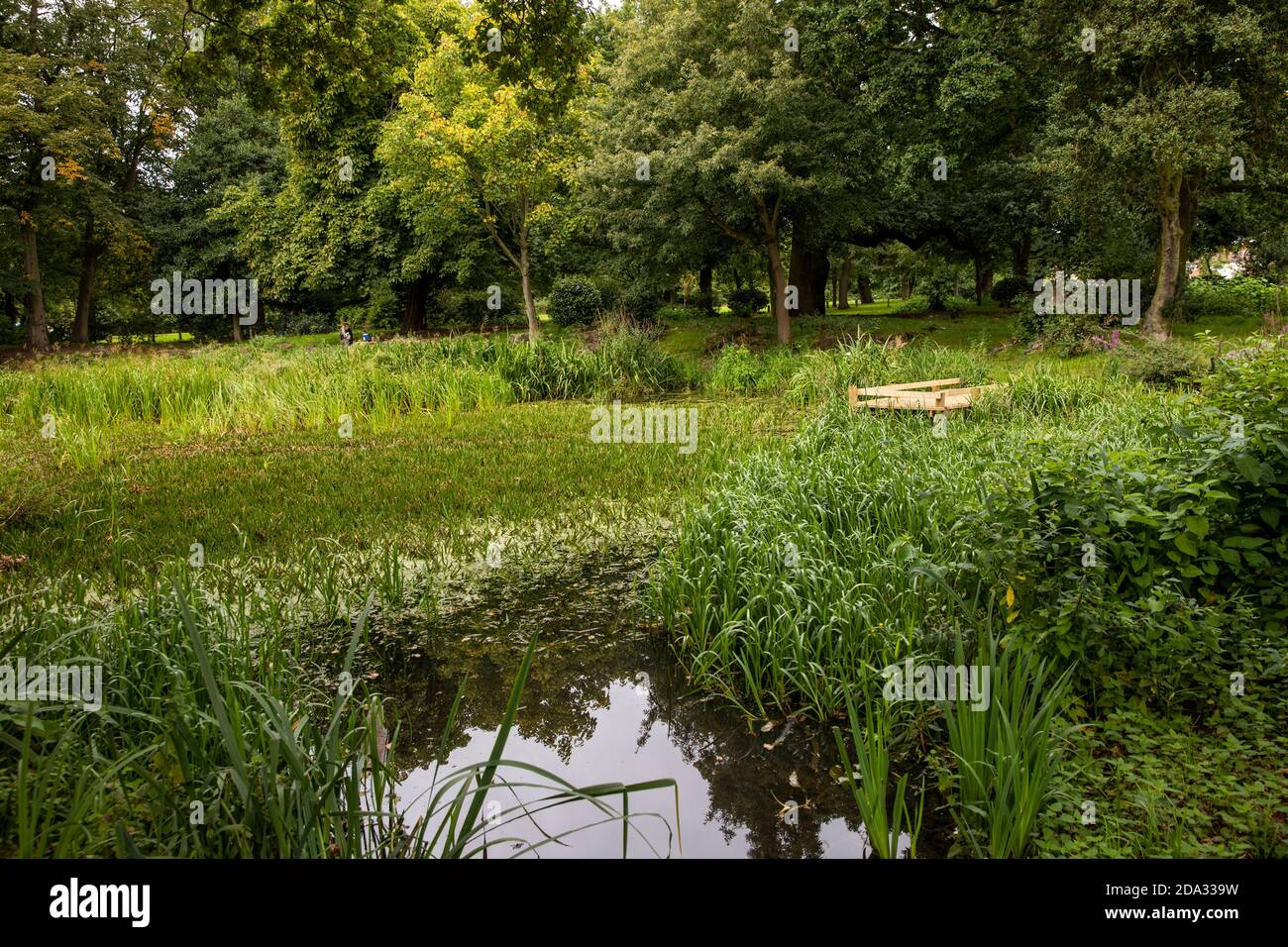 Woodland parks and wildlife hi-res stock photography and images - Alamy