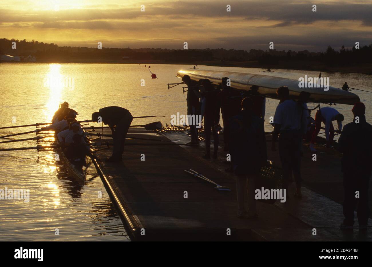 Sydney. AUSTRALIA, Crews boating for the morning training session as ...