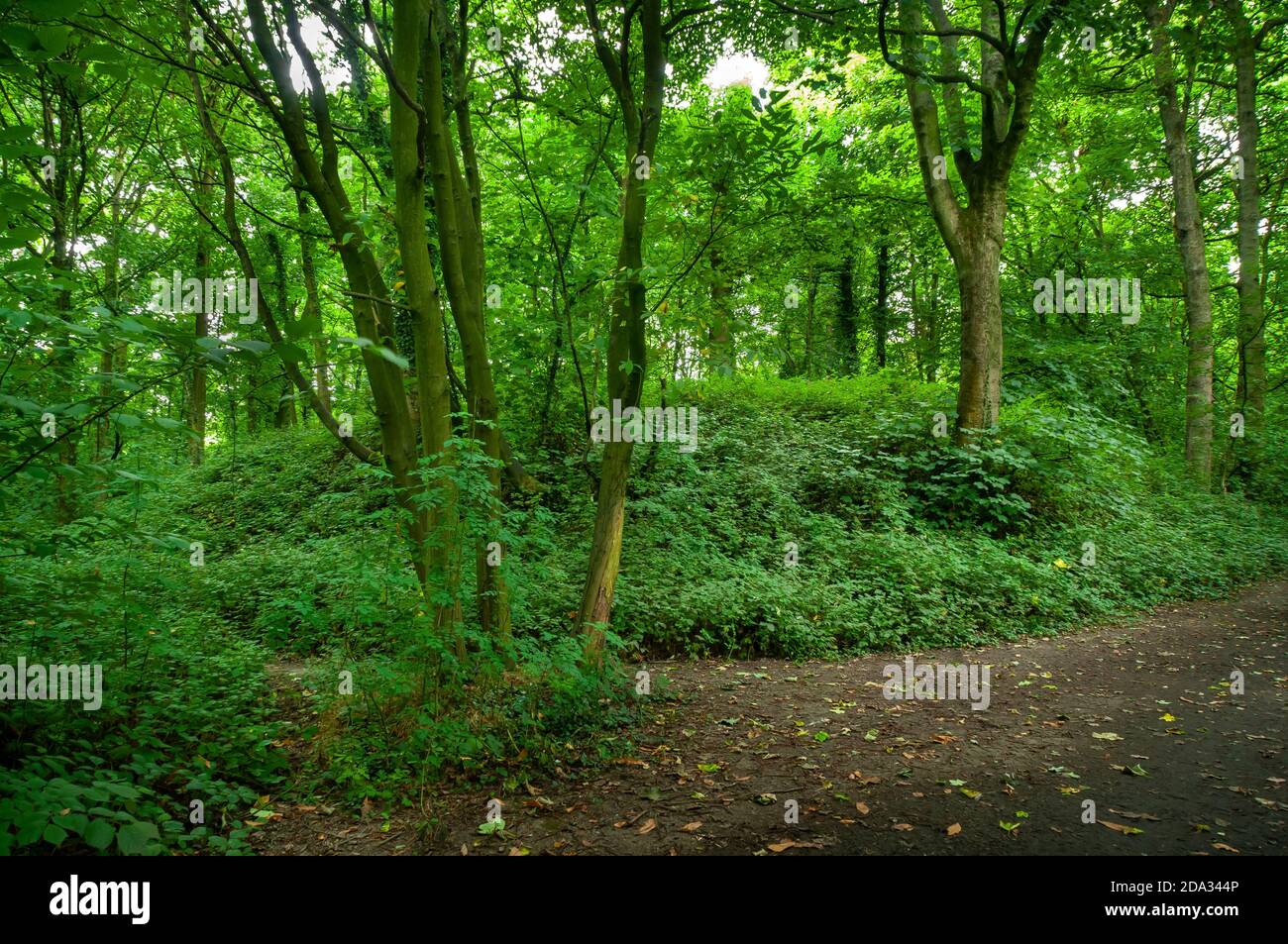 Bell pit mining hi-res stock photography and images - Alamy
