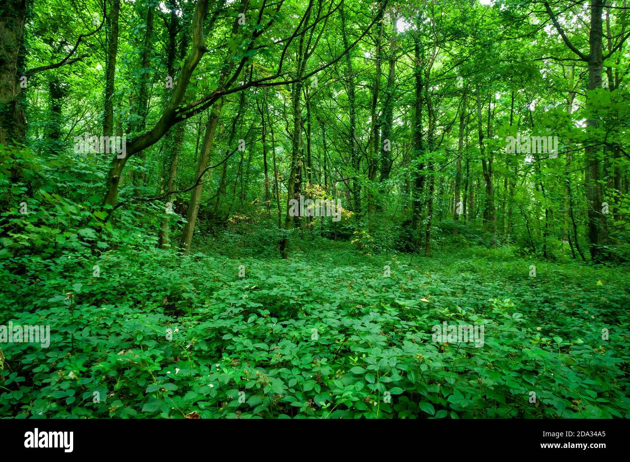 Bell pit mining hi-res stock photography and images - Alamy