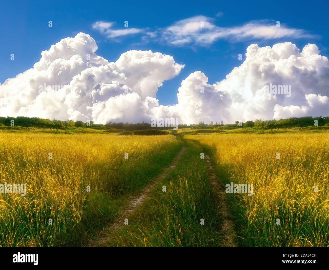 beautiful path in countryside with meadows and clouds Stock Photo - Alamy