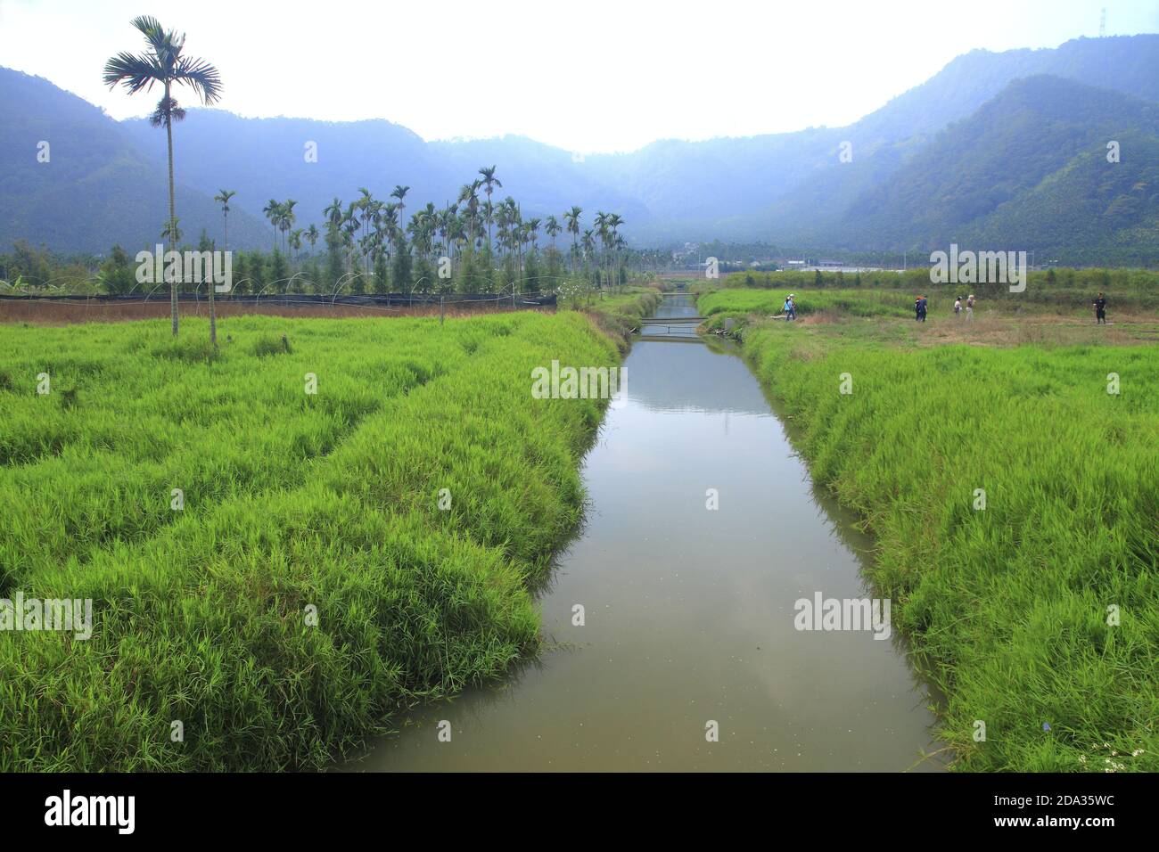 beauty of Nantou Taiwan Stock Photo - Alamy