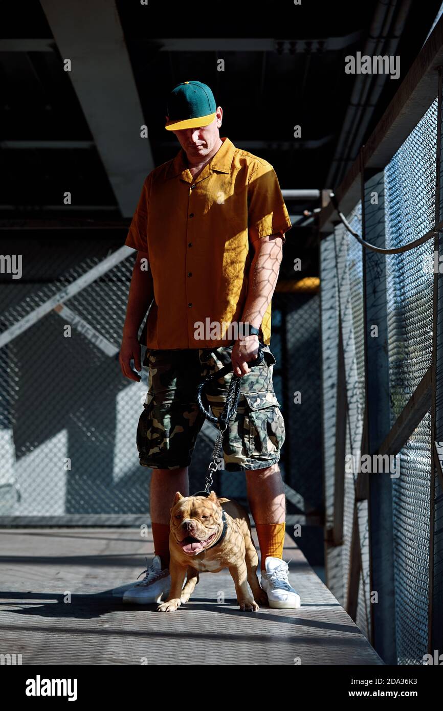 American bully snow hi-res stock photography and images - Alamy