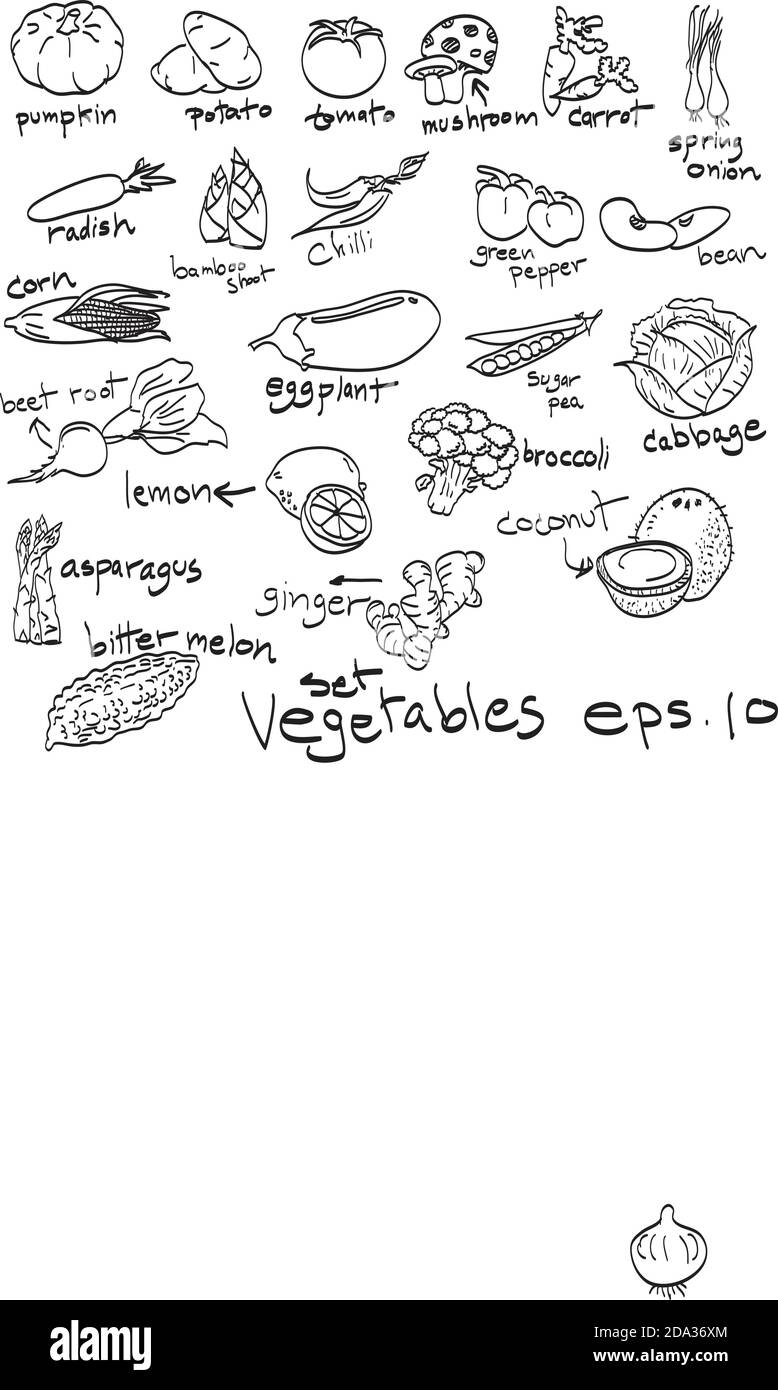 hand drawn set of vegetables, doodles Stock Vector Image & Art - Alamy