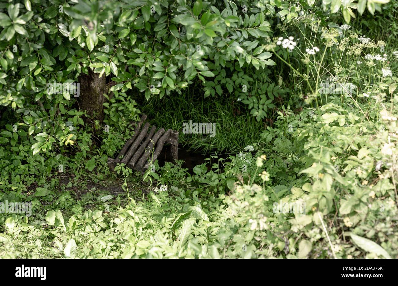 Log - a bridge over a forest river Stock Photo - Alamy