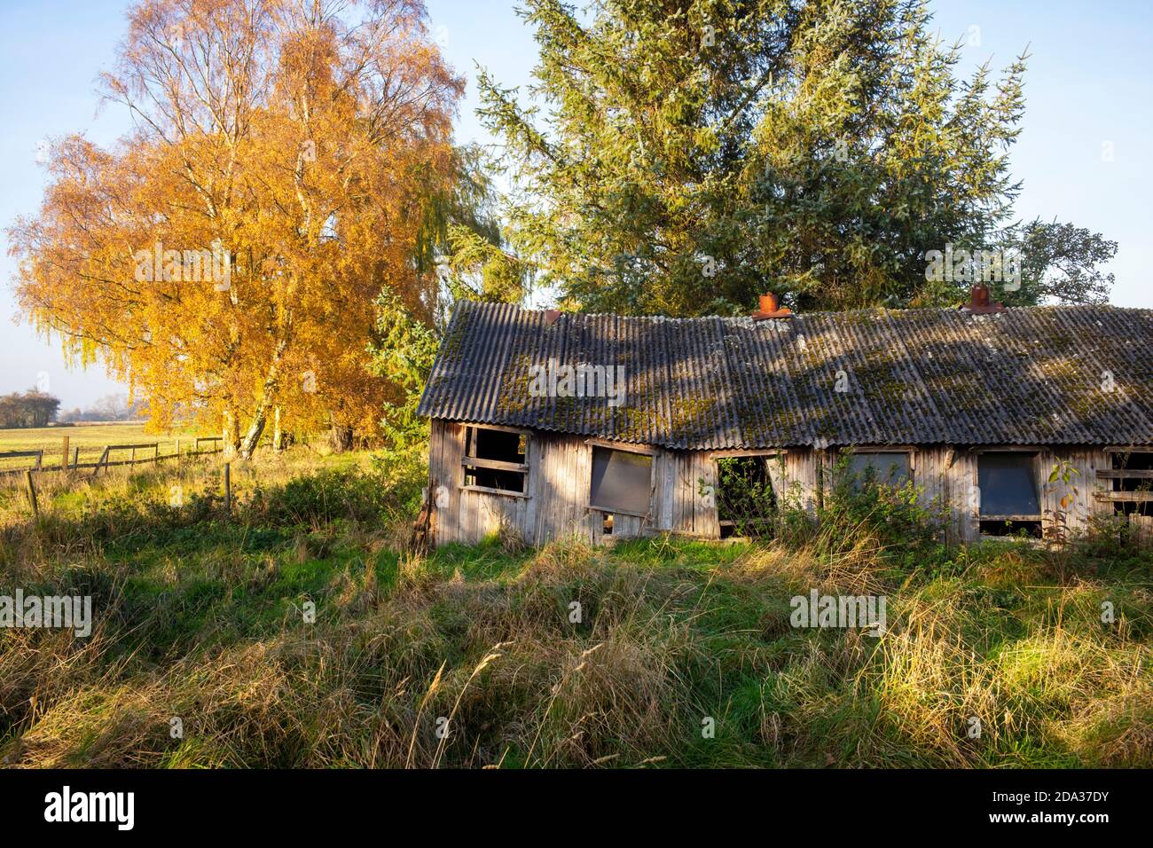 Collapsing shed hi-res stock photography and images - Alamy