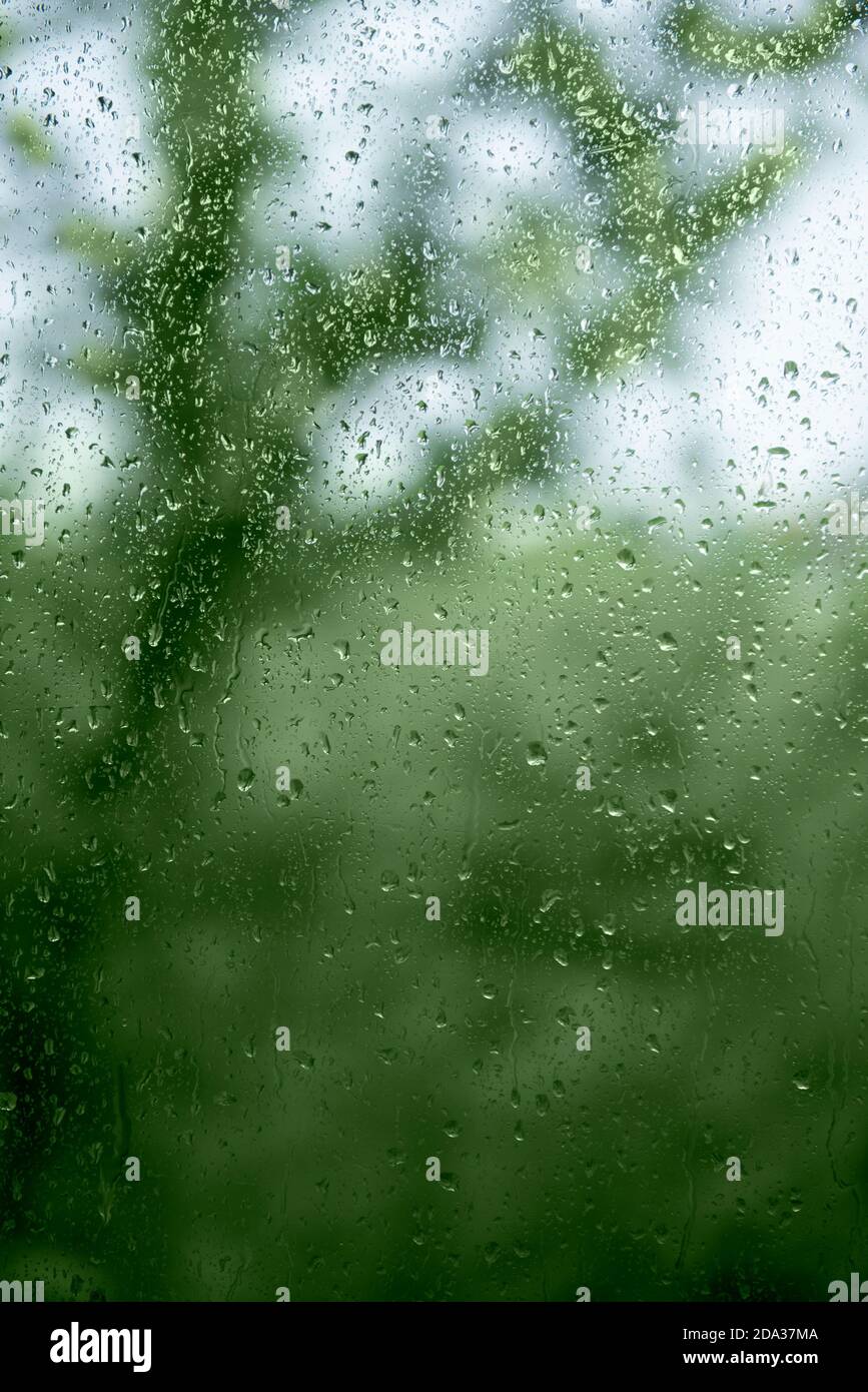 PANTONE Green Ash colored background Stock Photo - Alamy