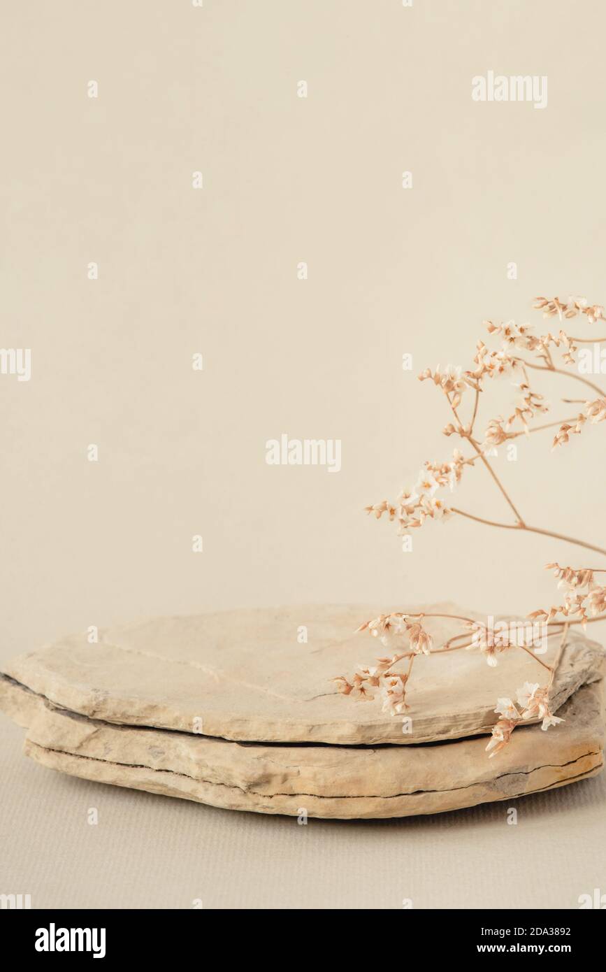 Background for cosmetic products of natural beige color Stock Photo - Alamy