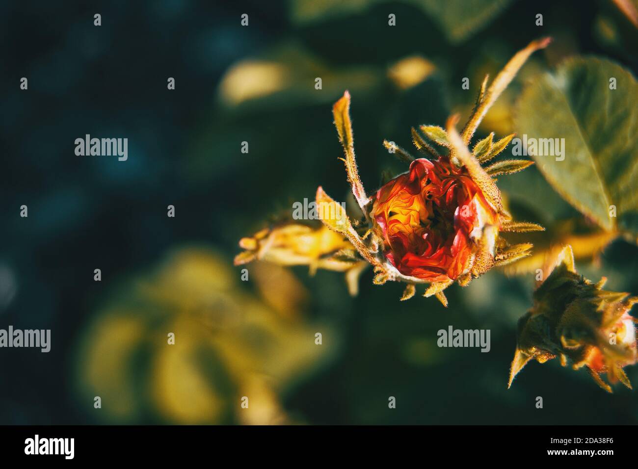 Creases left hi-res stock photography and images - Alamy