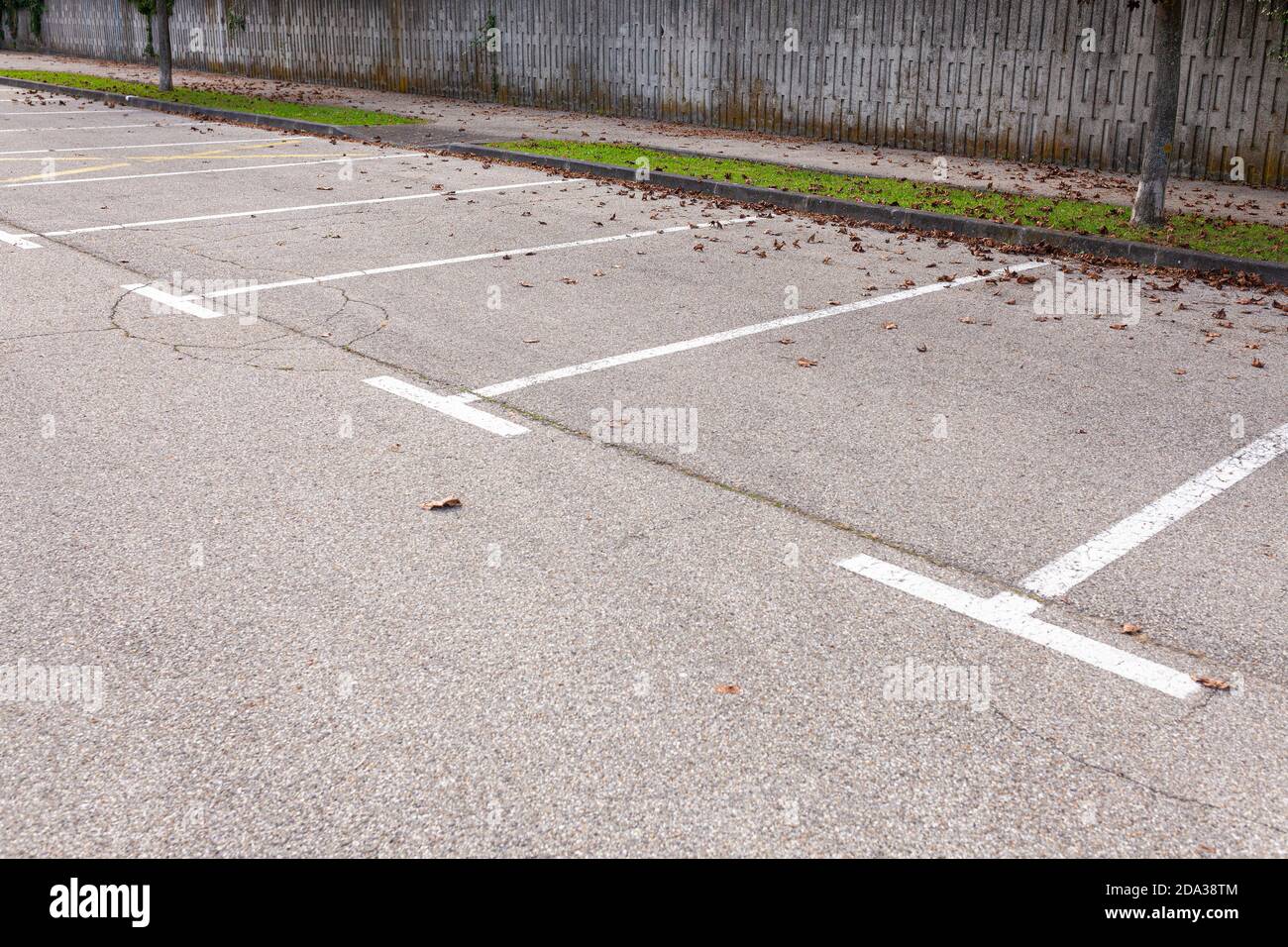 Empty parking lot with white lines marking parking spots Stock Photo ...
