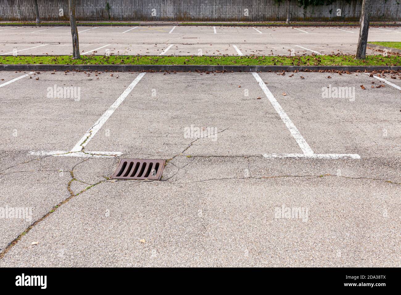 Empty parking lot with white lines marking parking spots Stock Photo ...