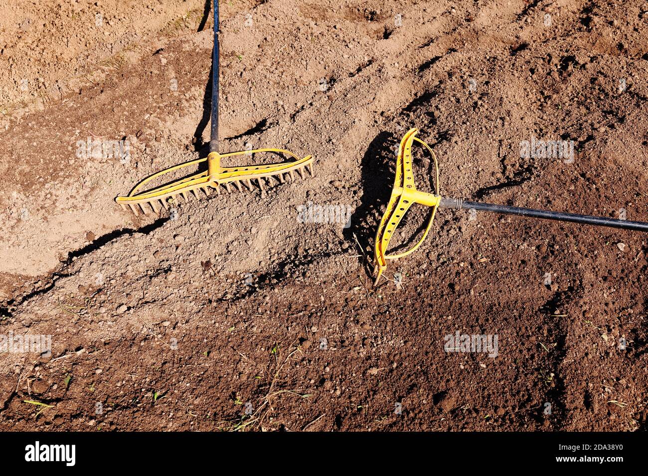 Two bright yellow garden rakes lying on fresh soil in garden Stock ...