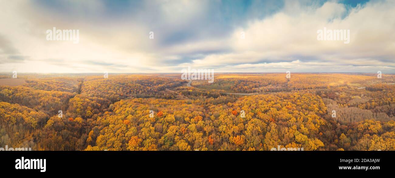Aerial view of Beautiful orange and red autumn forest, many Colorful ...