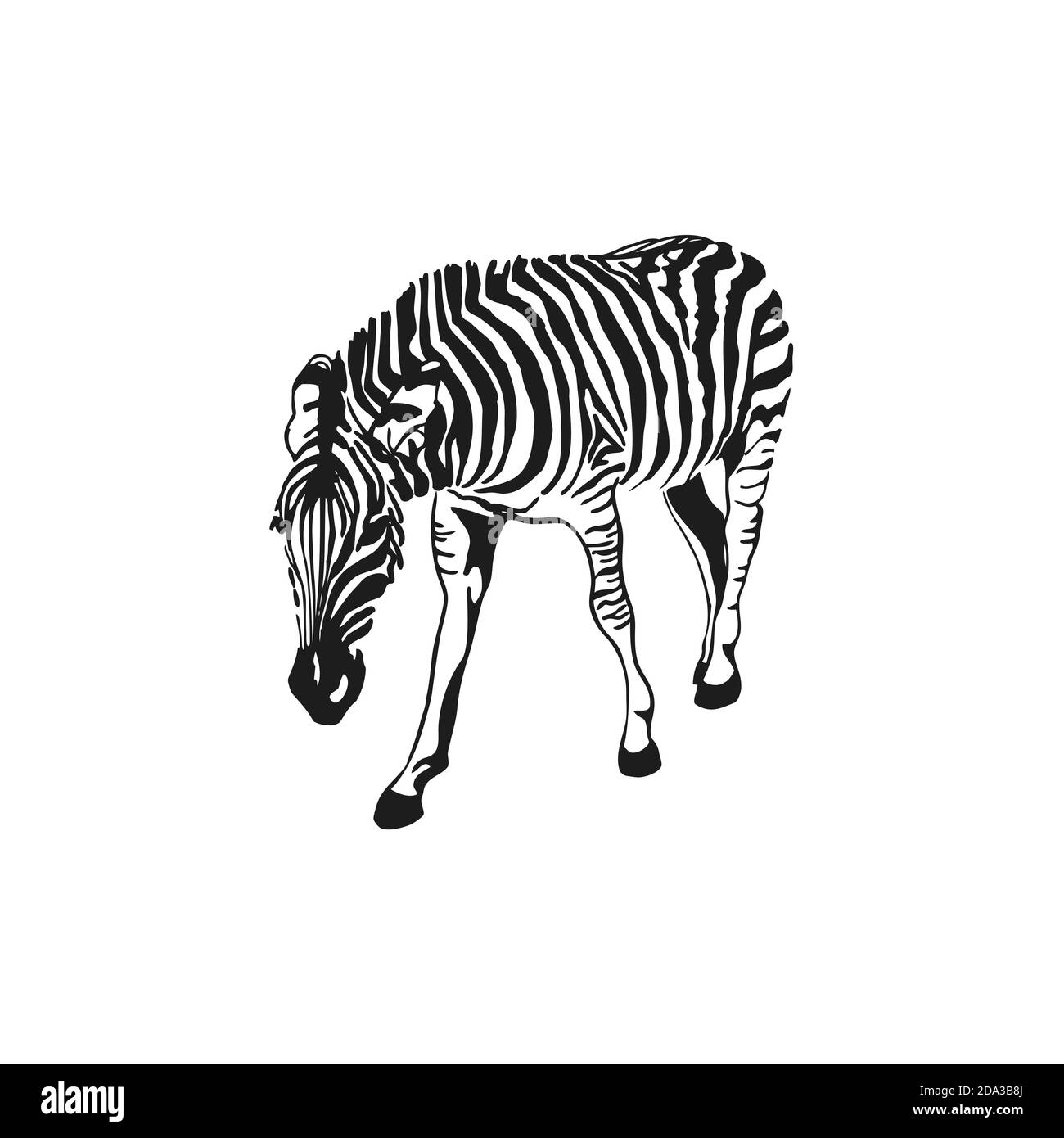 Zebra Shape High Resolution Stock Photography and Images - Alamy