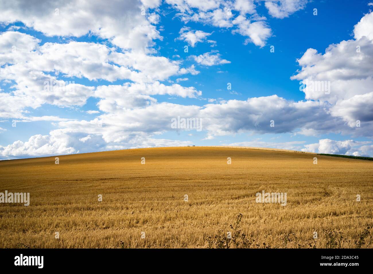 large fields on the South Downs in Sussex, England, UK on a summers ...