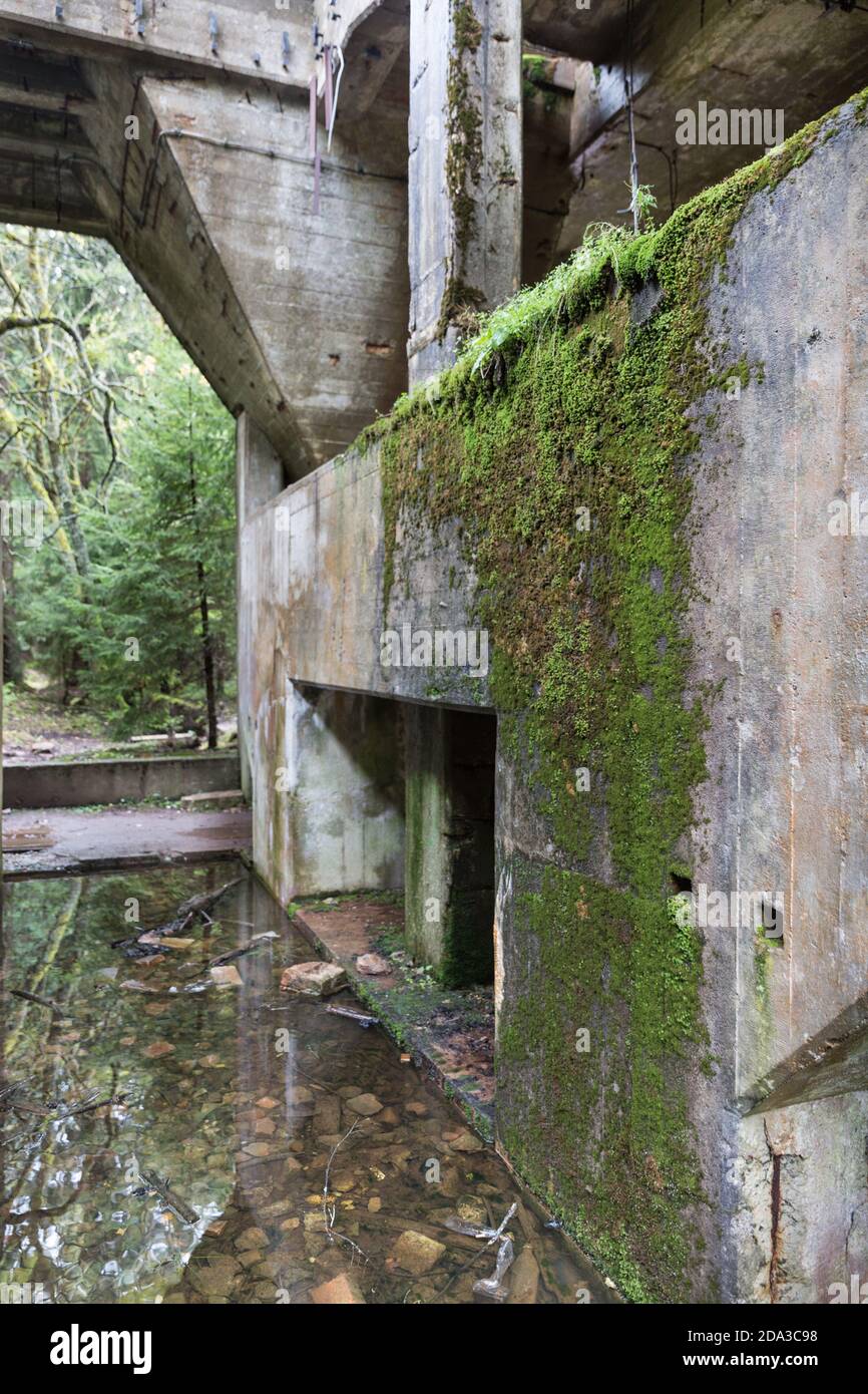 Moss growing on the concrete at the Mining tower and tin processing ...