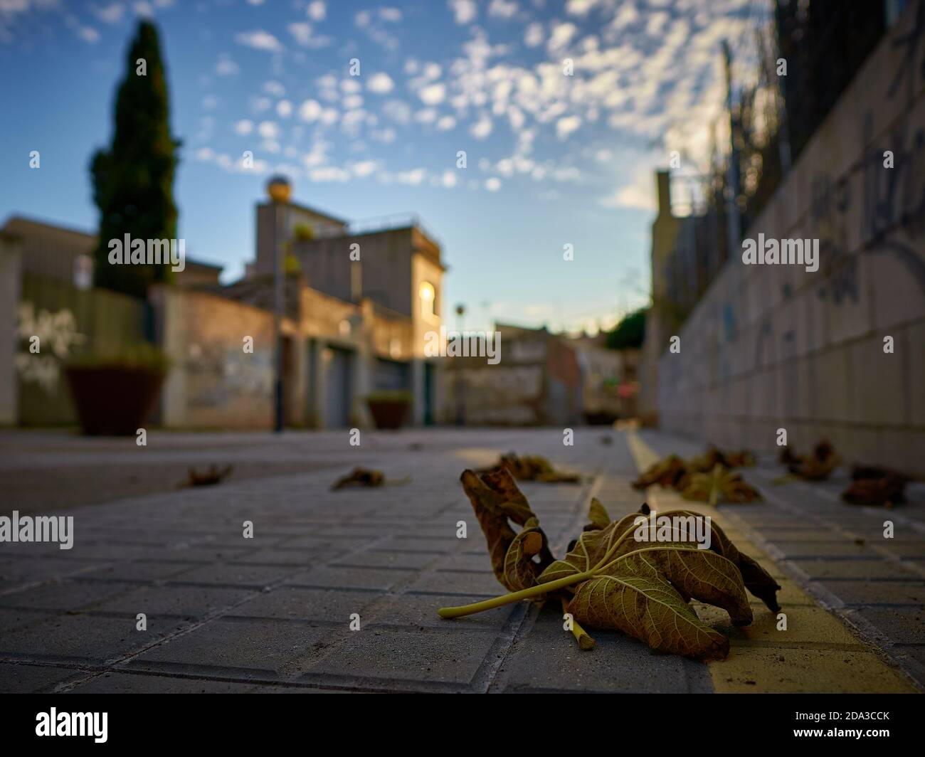 Empty bar district hi-res stock photography and images - Alamy