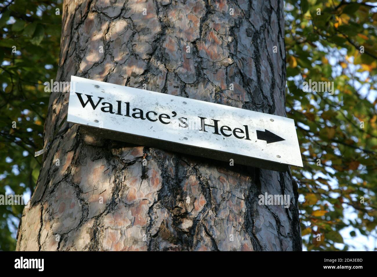 River ayr walk hi-res stock photography and images - Alamy